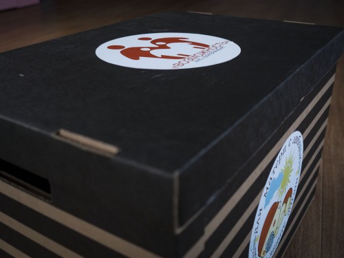 rfhh / АНО «Возможность»